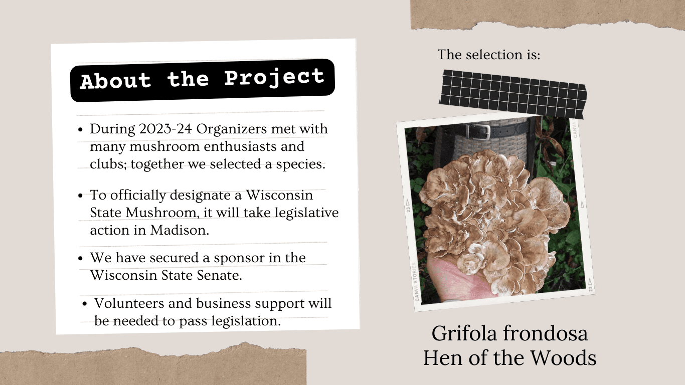 Wisconsin State Mushroom Project - Jay Selthofner